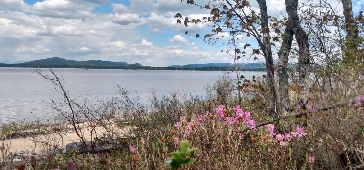 A Public Beach in a Natural Area – Part Four - Ossipee Lake Alliance