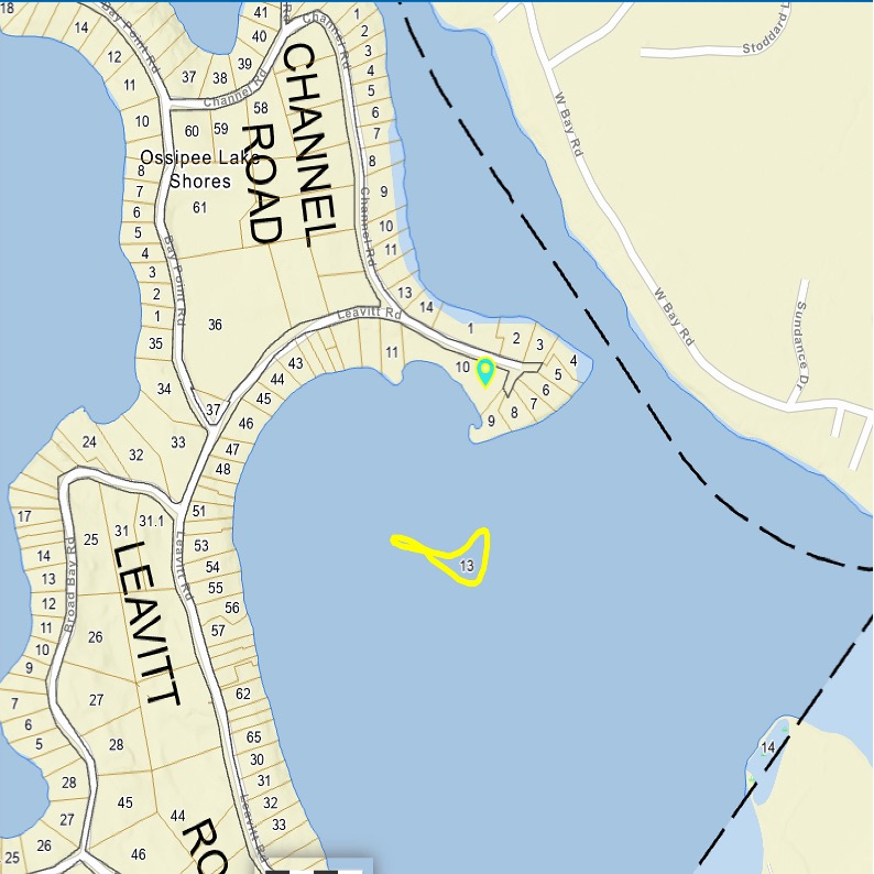 Leavitt Bay Says No to DES - Ossipee Lake Alliance